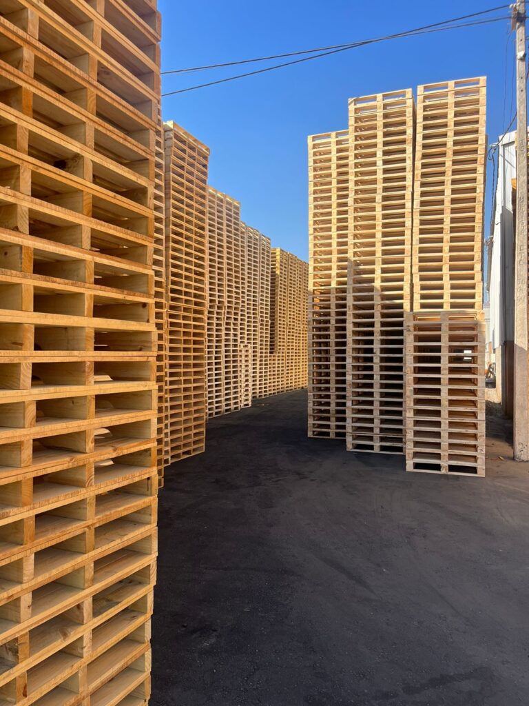 Líder en Comercialización de Pallets - Pallets MC